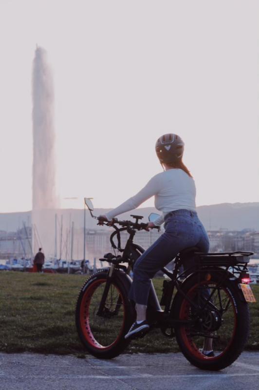 Diaporama - Miloo Mighty Beast | Photos officielles du fat bike ...